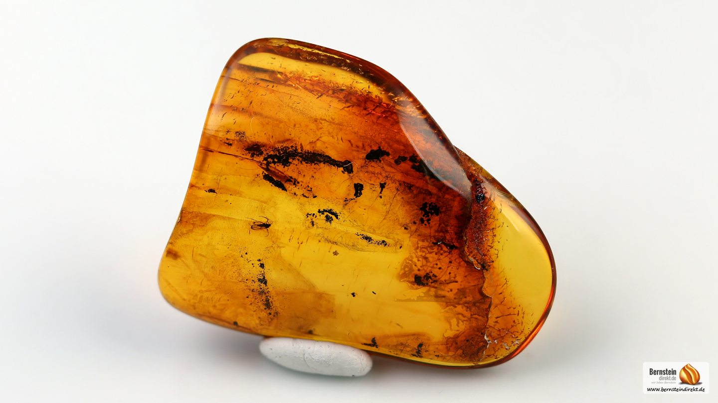 Bernstein mit mehreren Mücken, Bernstein mit drei Mücken als Einschlüsse